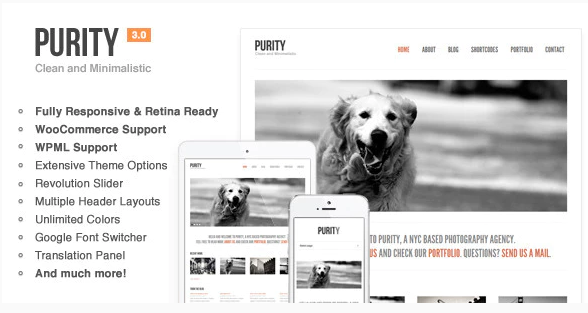 30 Clean and Simple WordPress Themes for Websites in 2019 - Spice Themes